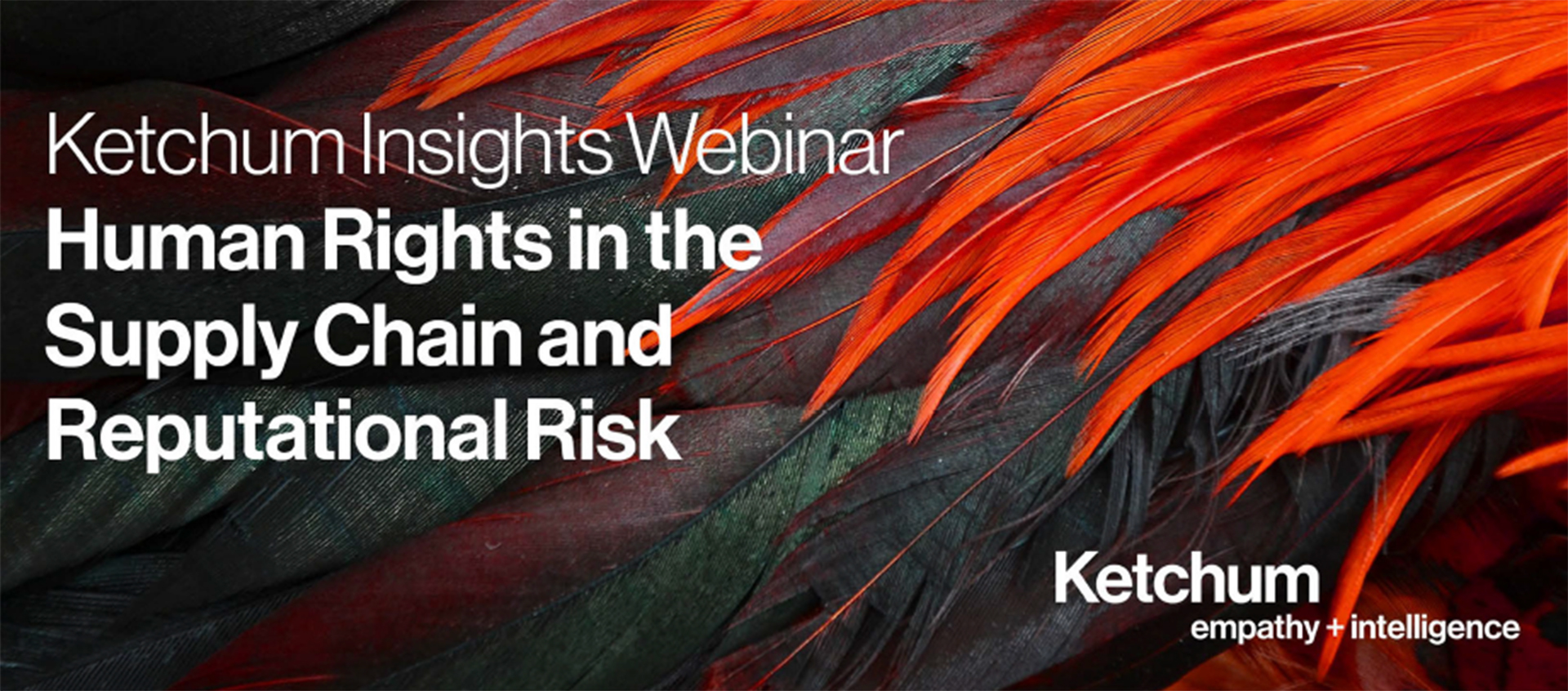 Ketchum Insights Webinar: Human Rights in the Supply Chain and ...