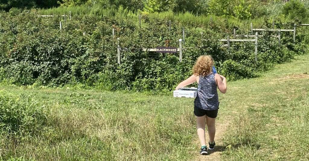 Amanda Kowal Kenyon Archives - Ketchum